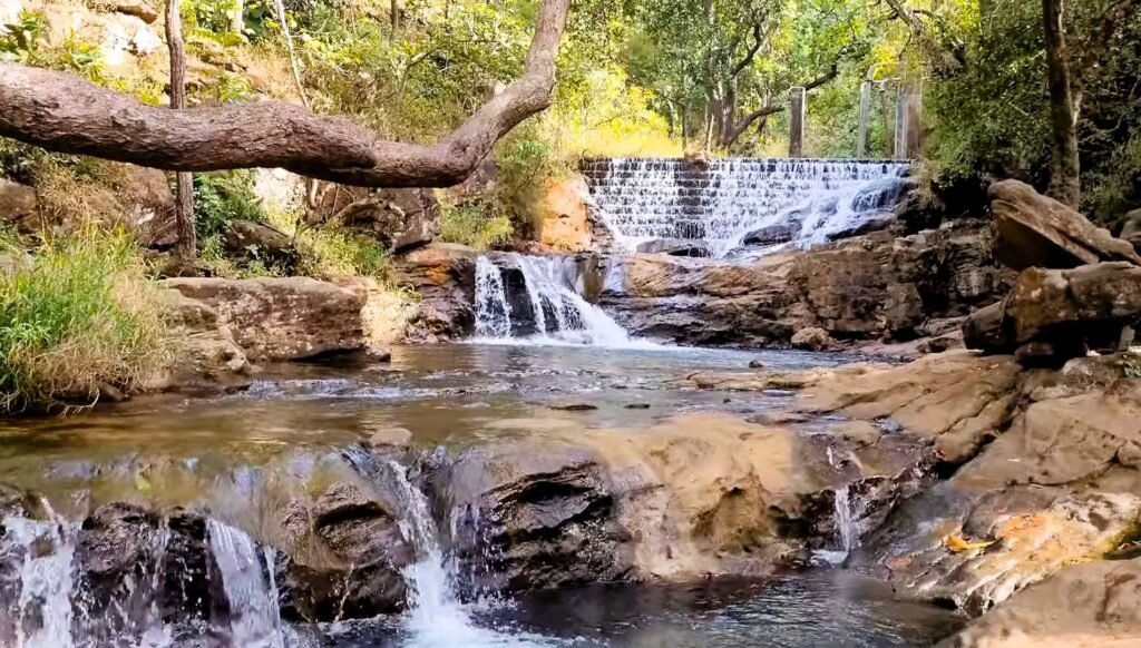 Madhya Pradesh Tour Packages | Best MP Trip | MP Tour Packages